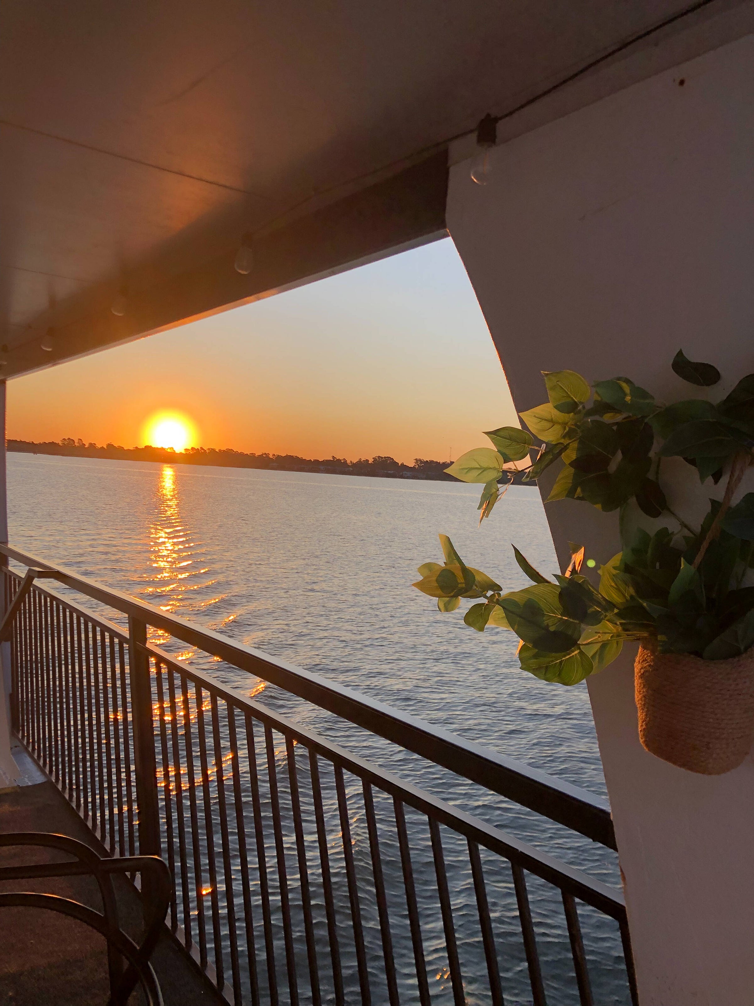 Learn More | The Sienna Daisy Boat