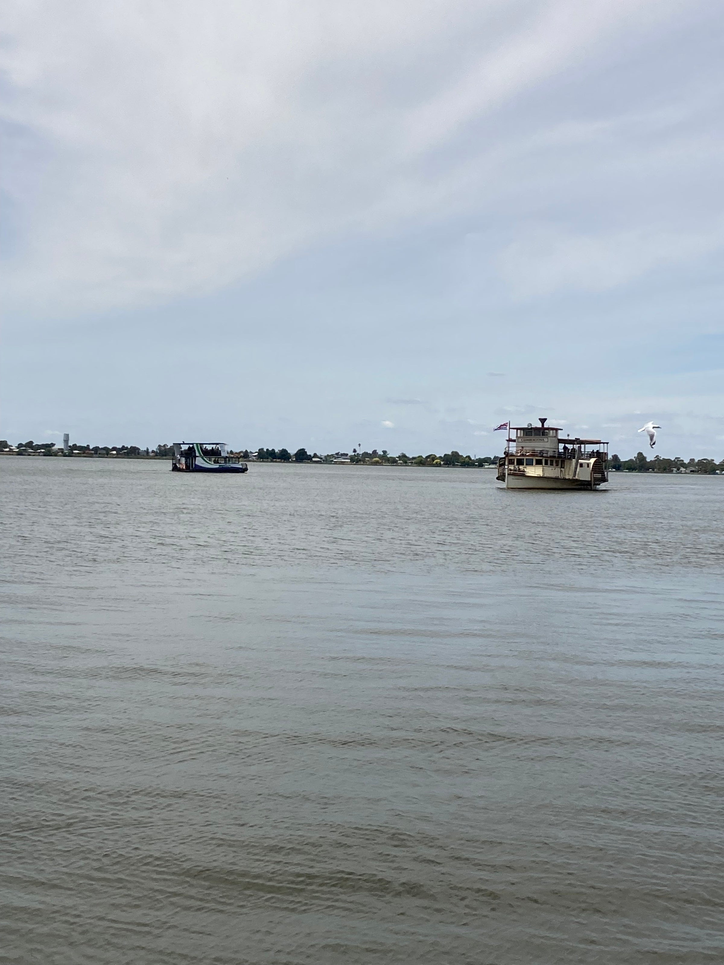 Learn More | The Sienna Daisy Boat